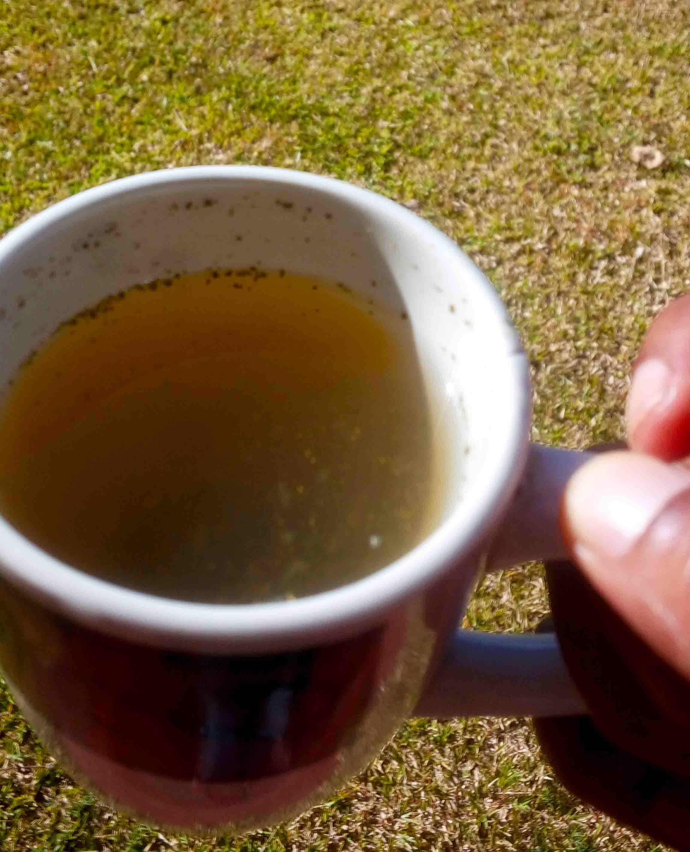 Of Kitchen Diaries – Becoming The Muse