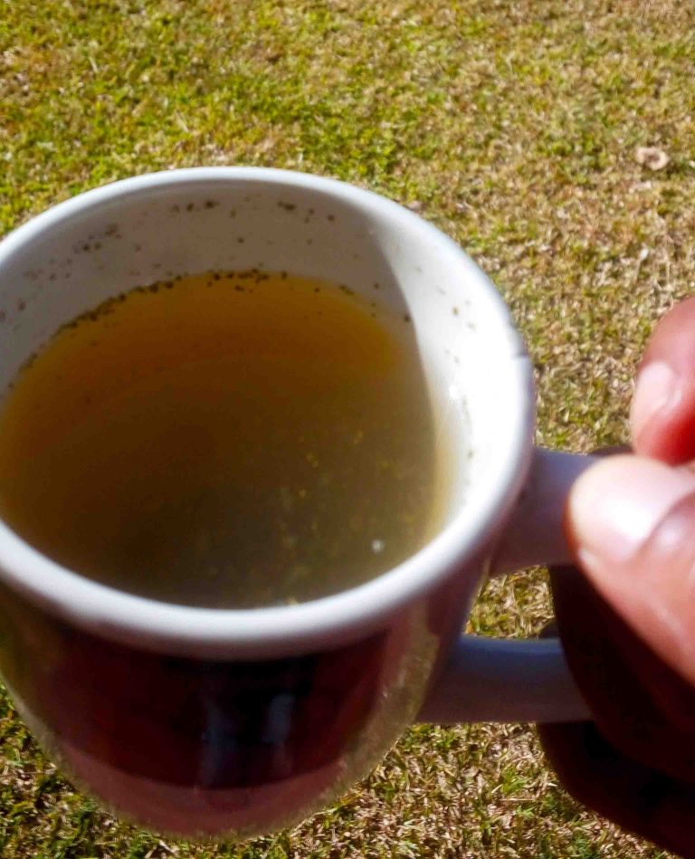 Of Kitchen Diaries – Becoming The Muse