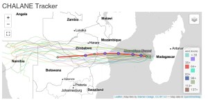 Coffee With A Looming Cyclone – Becoming The Muse